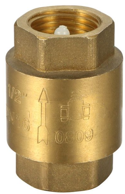 Brass Spring Check Valve 1"